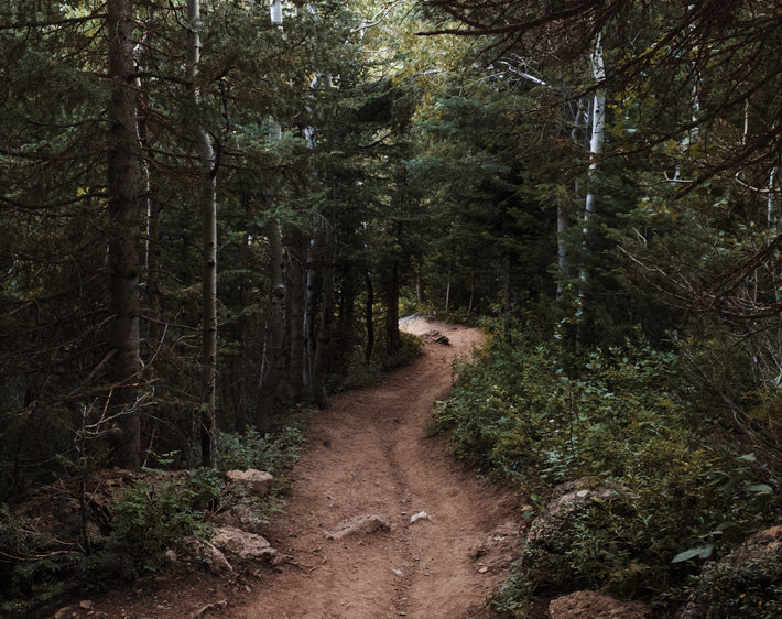 Vinco - The world’s first fully renewable performance eyewear ...